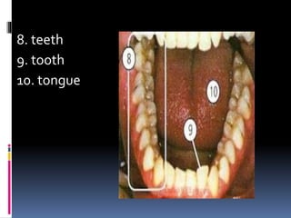 2.-ANATOMY-AND-PHYSIOLOGY-OF-HUMAN-BODY.rtf-1.pdf