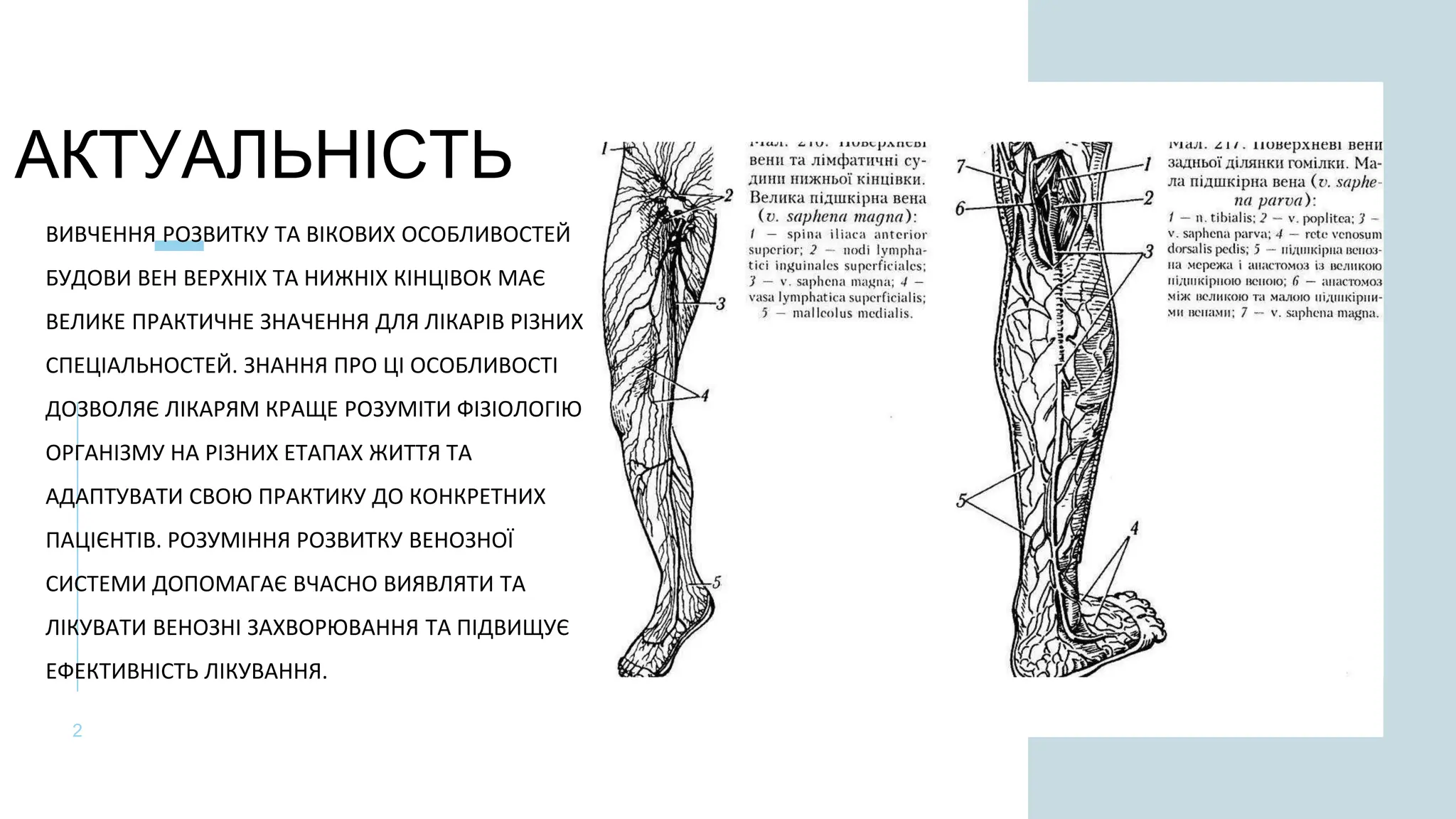 Vena in medicine anatomy physical and physical | PPT