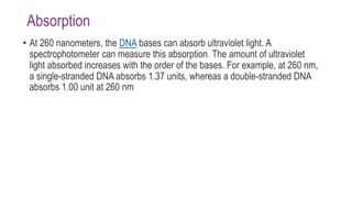 2. Properties of DNA bjjjjbjjjjjjjj.pptx