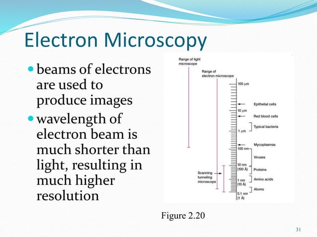 2.0 - Types of Light Microscope.ppt microscope | PPT