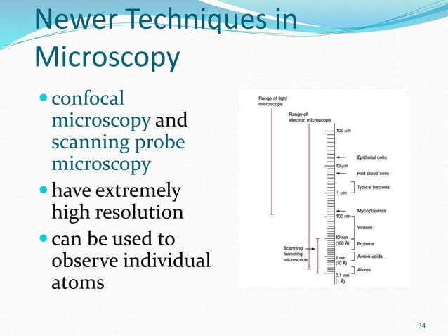 2.0 - Types of Light Microscope.ppt microscope | PPT