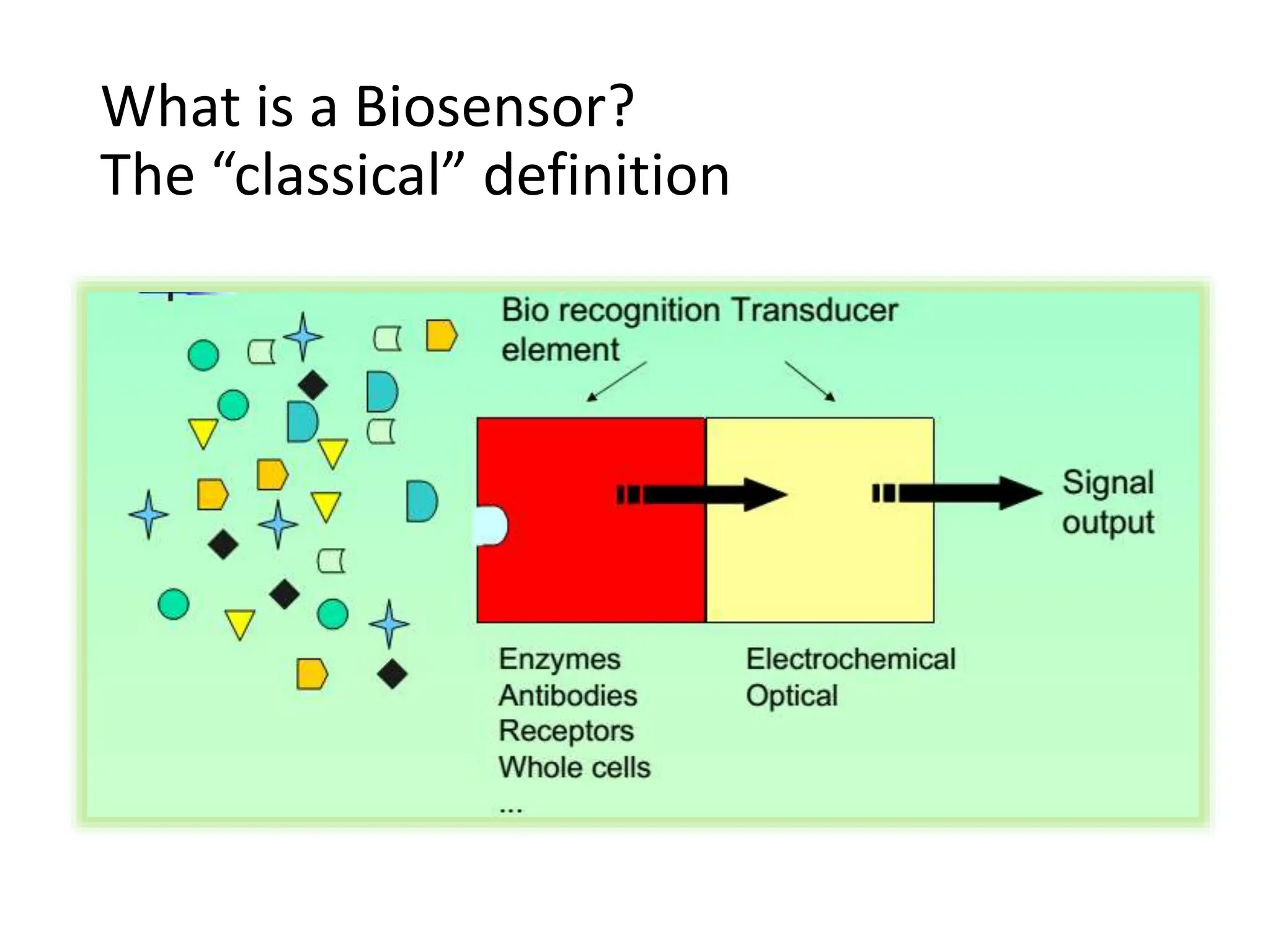 2.Power Point Biosensor Introduction.ppt
