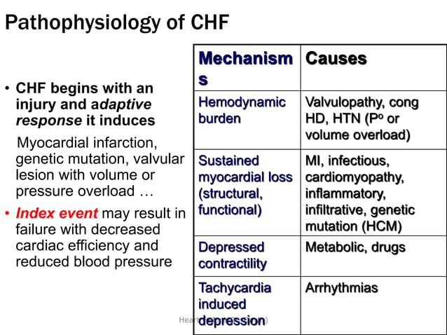 2. Congestive heart failure by Dawit.pptx