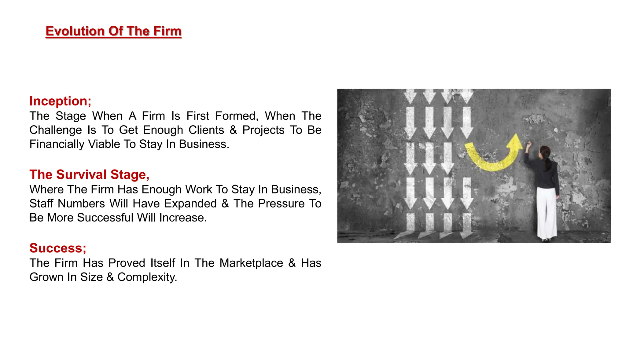 2. Organization of the Architect‘s office.pptx