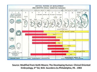 2. Lect.2 Preconception Nutrition.pregnantptx | PPTX