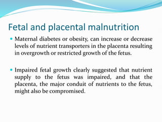 2. Lect.2 Preconception Nutrition.pregnantptx | PPTX