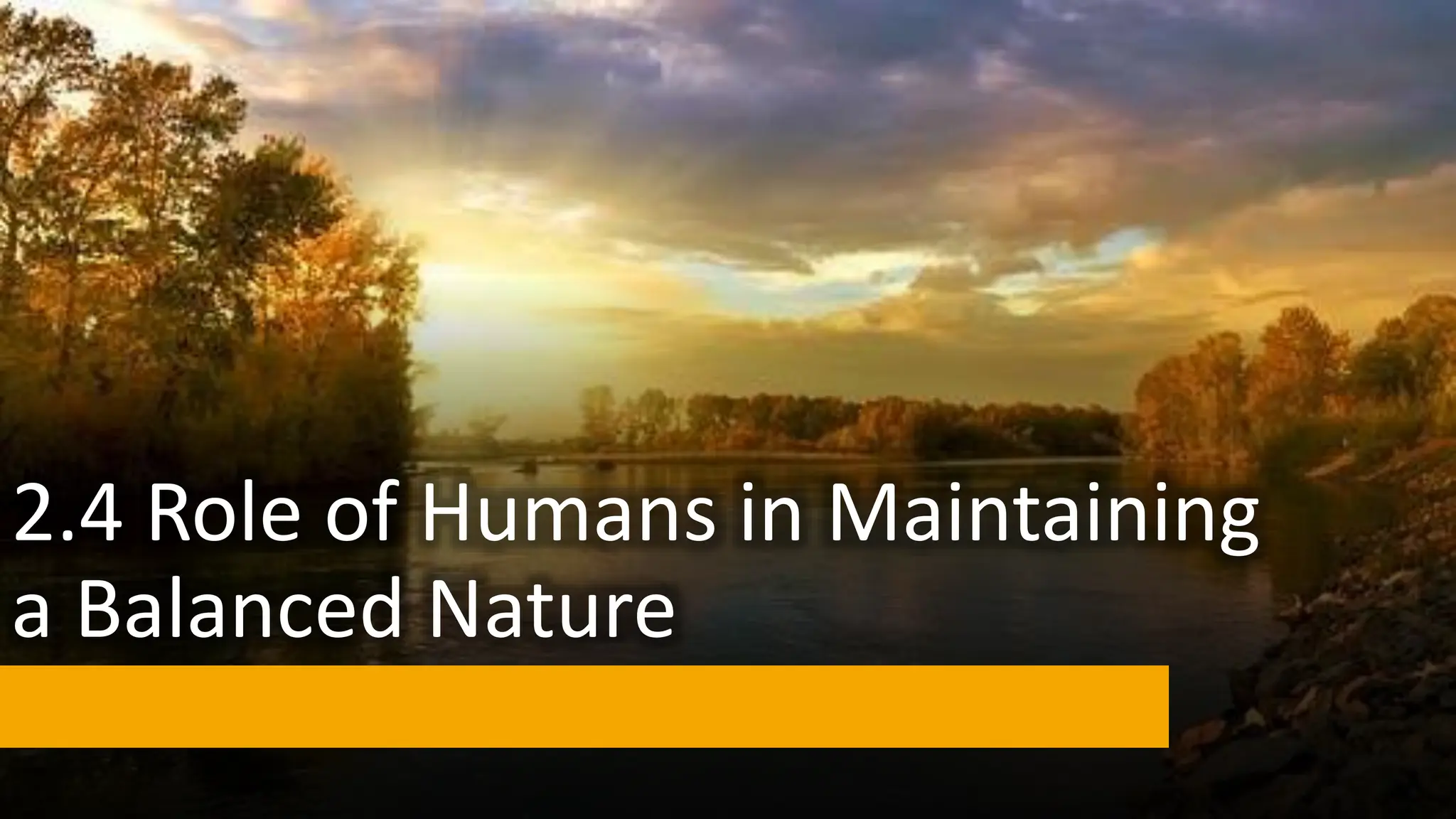 2.4 Role of Humans in Maintaining a Balanced Nature.pptx | Indoor ...