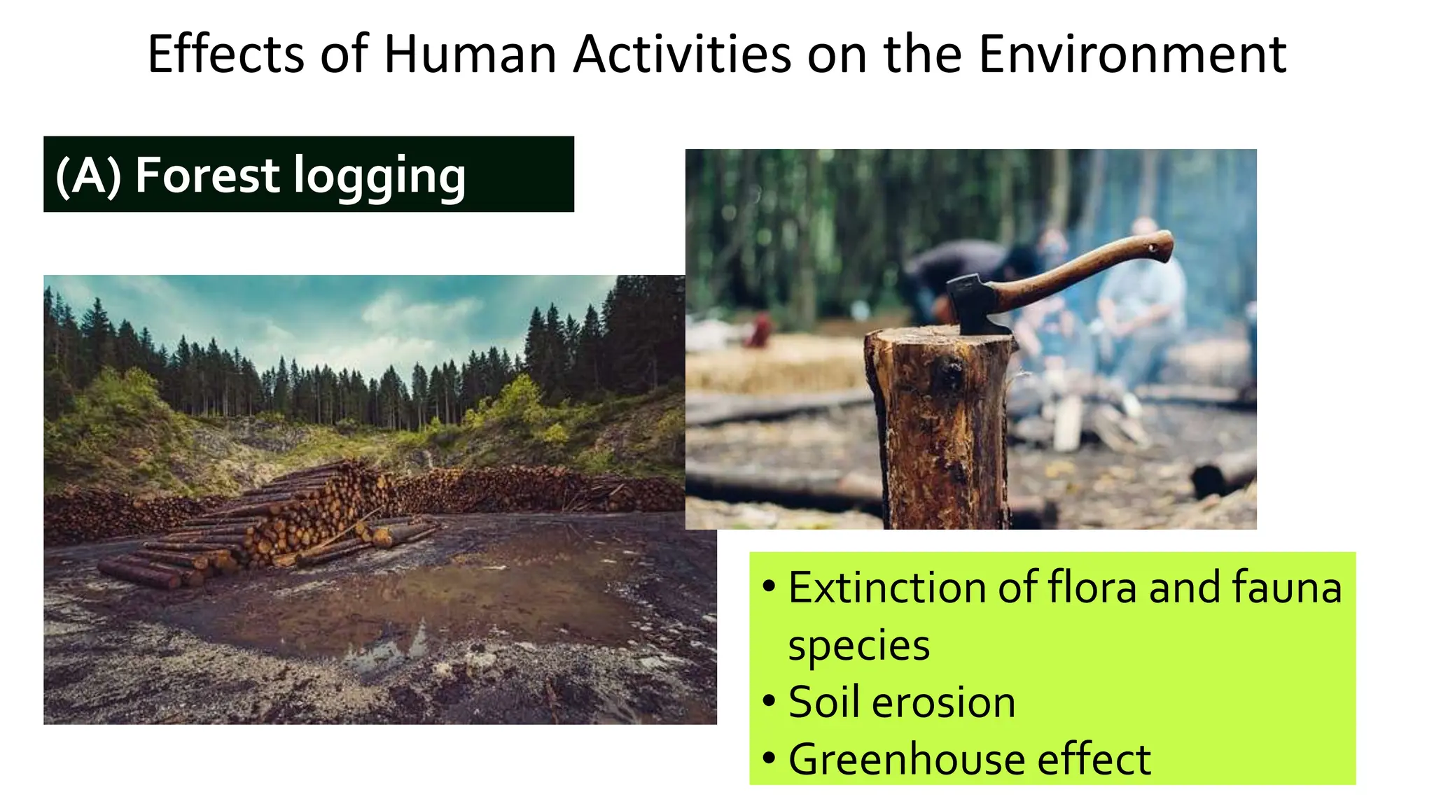 2.4 Role of Humans in Maintaining a Balanced Nature.pptx | Indoor ...