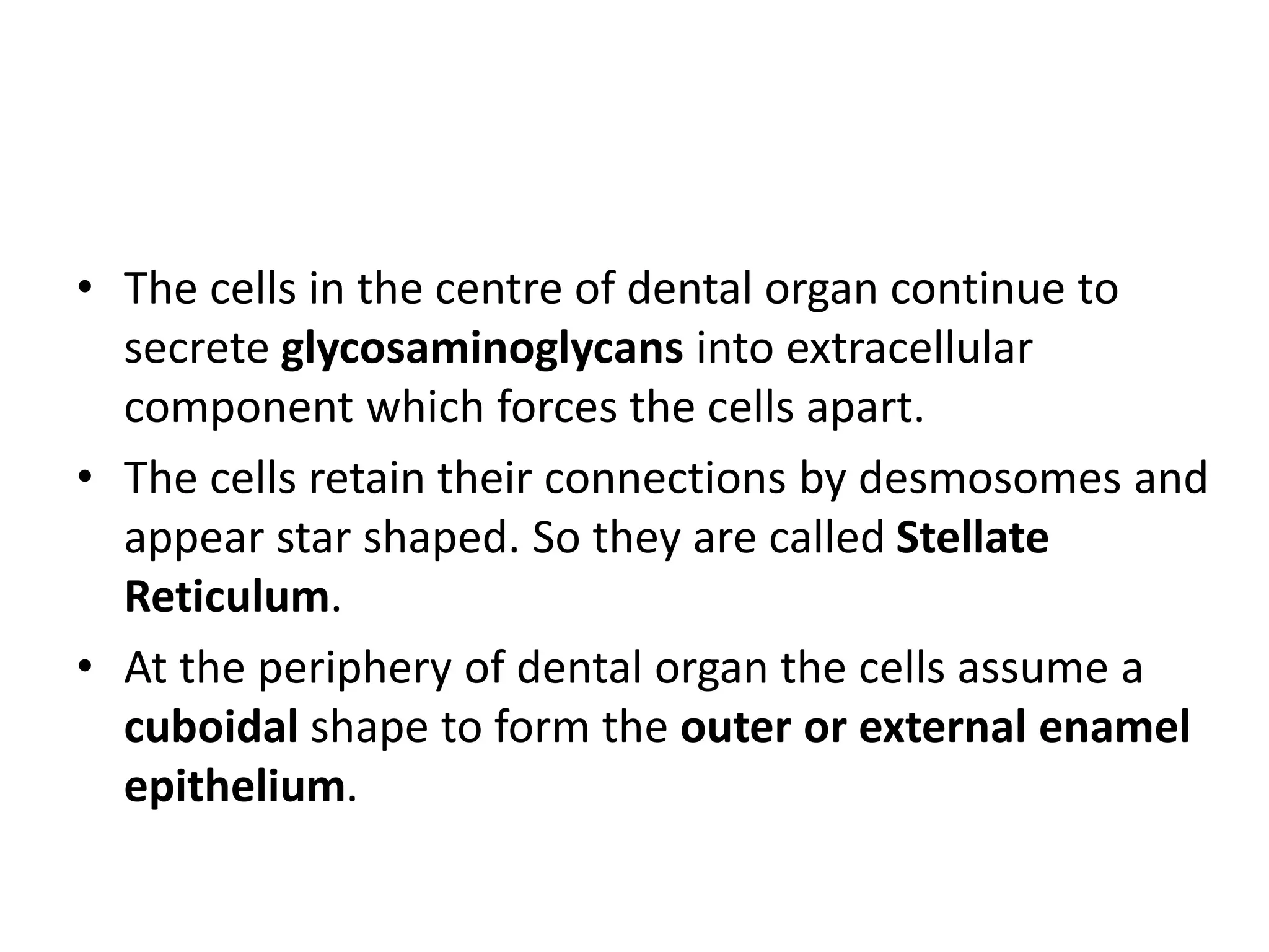 2. Development of tooth.ppt ODONTOGENESIS | PPT | Dental Health | Diseases and Conditions