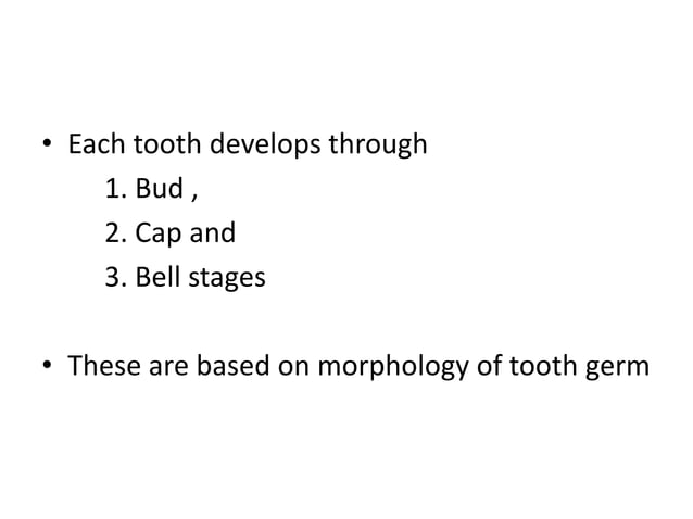 2. Development of tooth.ppt ODONTOGENESIS | PPT | Dental Health | Diseases and Conditions