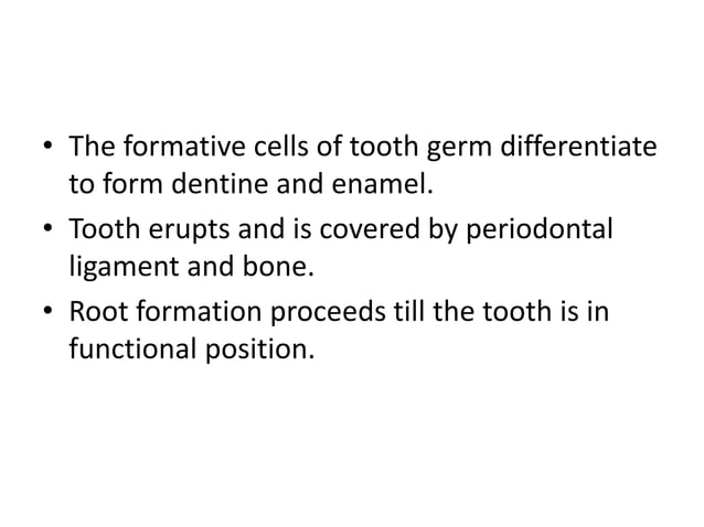 2. Development of tooth.ppt ODONTOGENESIS | PPT | Dental Health | Diseases and Conditions
