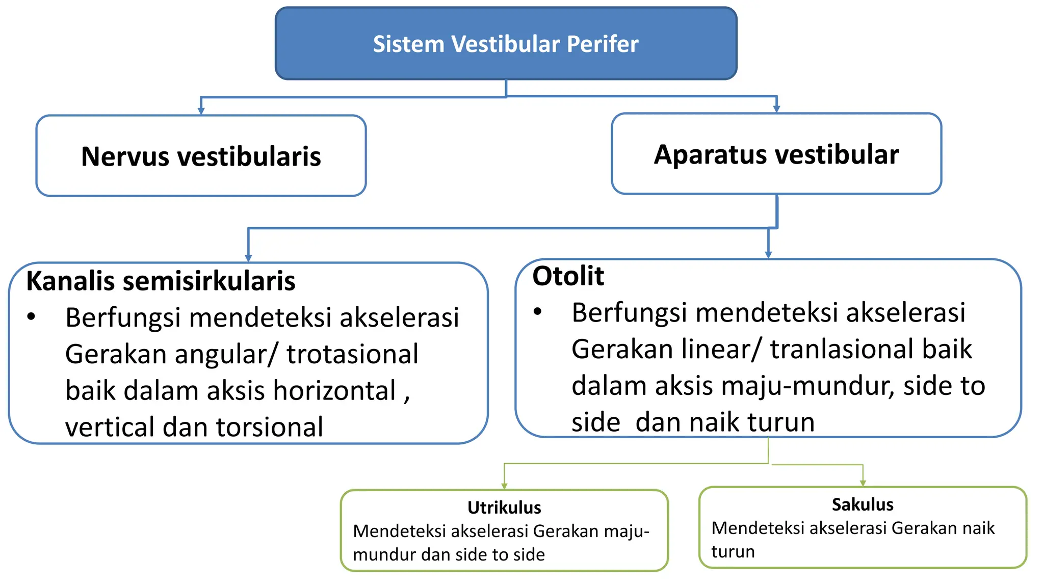 MATERI-KULIAH-PPT-GANGGUAN-VESTIBULAR.pptx