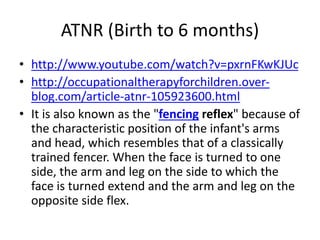 2.-Reflexesjwju aap so it rhi hech ji wt.ppt