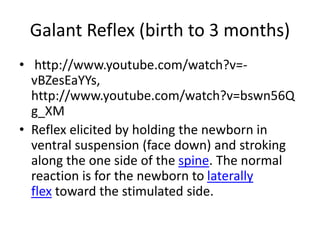 2.-Reflexesjwju aap so it rhi hech ji wt.ppt