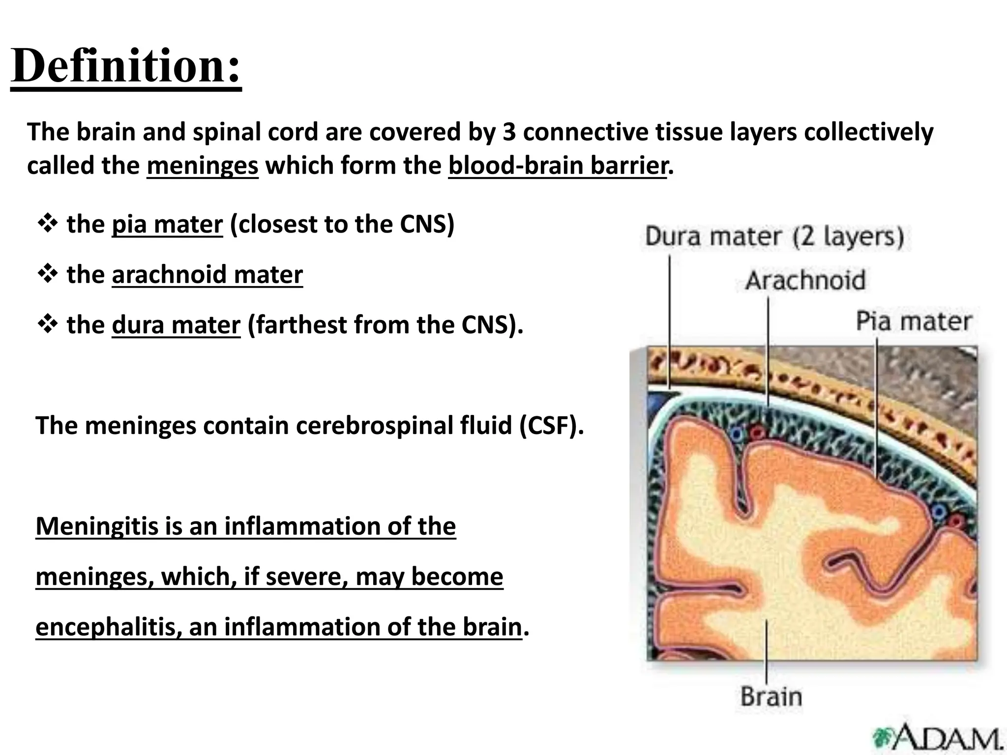 2. Meningitis diseses of the brain membrane.pptx