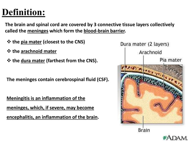 2. Meningitis diseses of the brain membrane.pptx