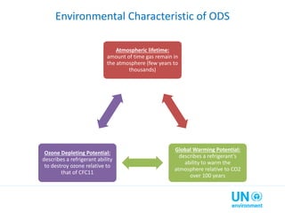 2.1_training_presentation_ozone_depletion_final_bkk_workshop (1).pdf