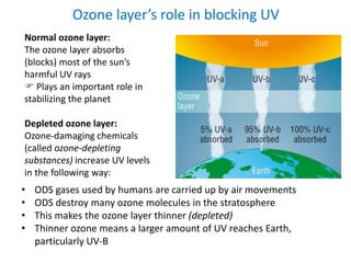 2.1_training_presentation_ozone_depletion_final_bkk_workshop (1).pdf