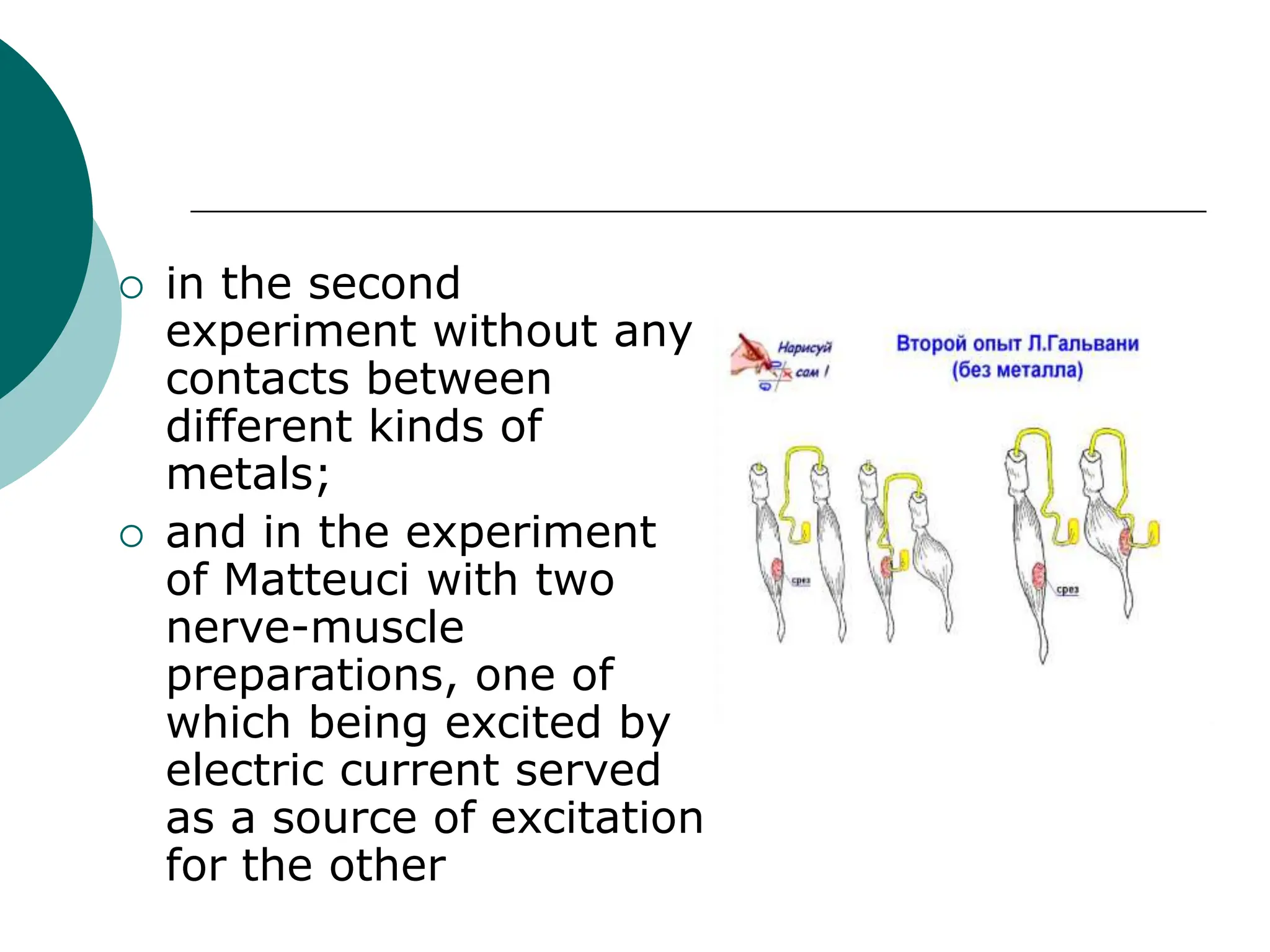 2.Physiology of Excitable Tissues (1).ppt