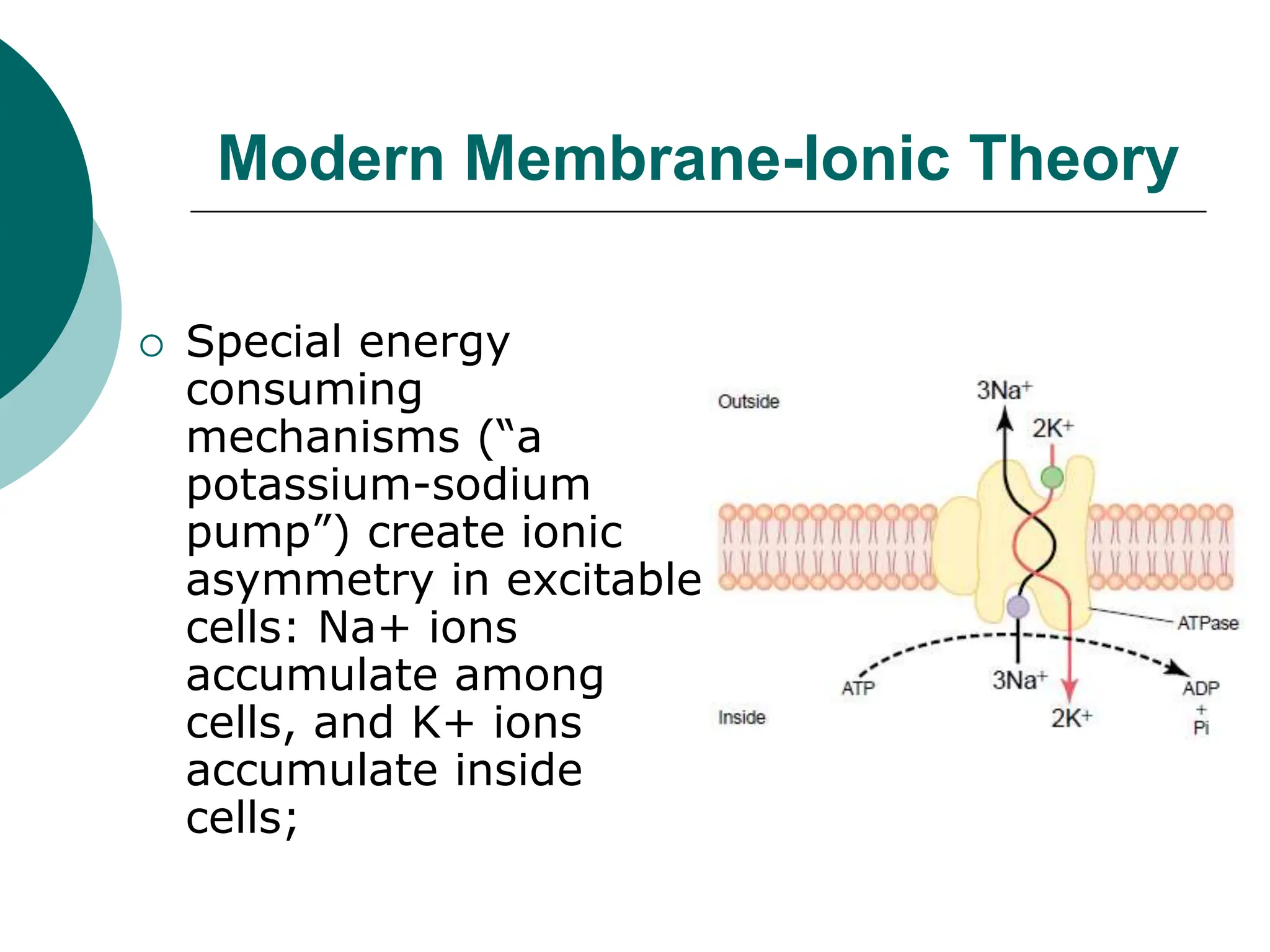 2.Physiology of Excitable Tissues (1).ppt