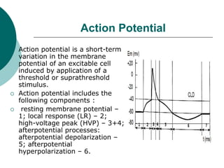 2.Physiology of Excitable Tissues (1).ppt