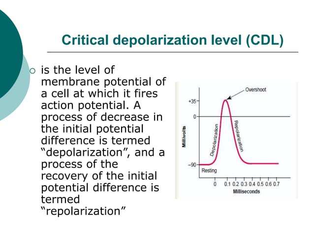2.Physiology of Excitable Tissues (1).ppt