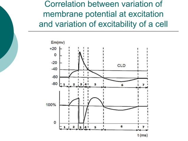 2.Physiology of Excitable Tissues (1).ppt