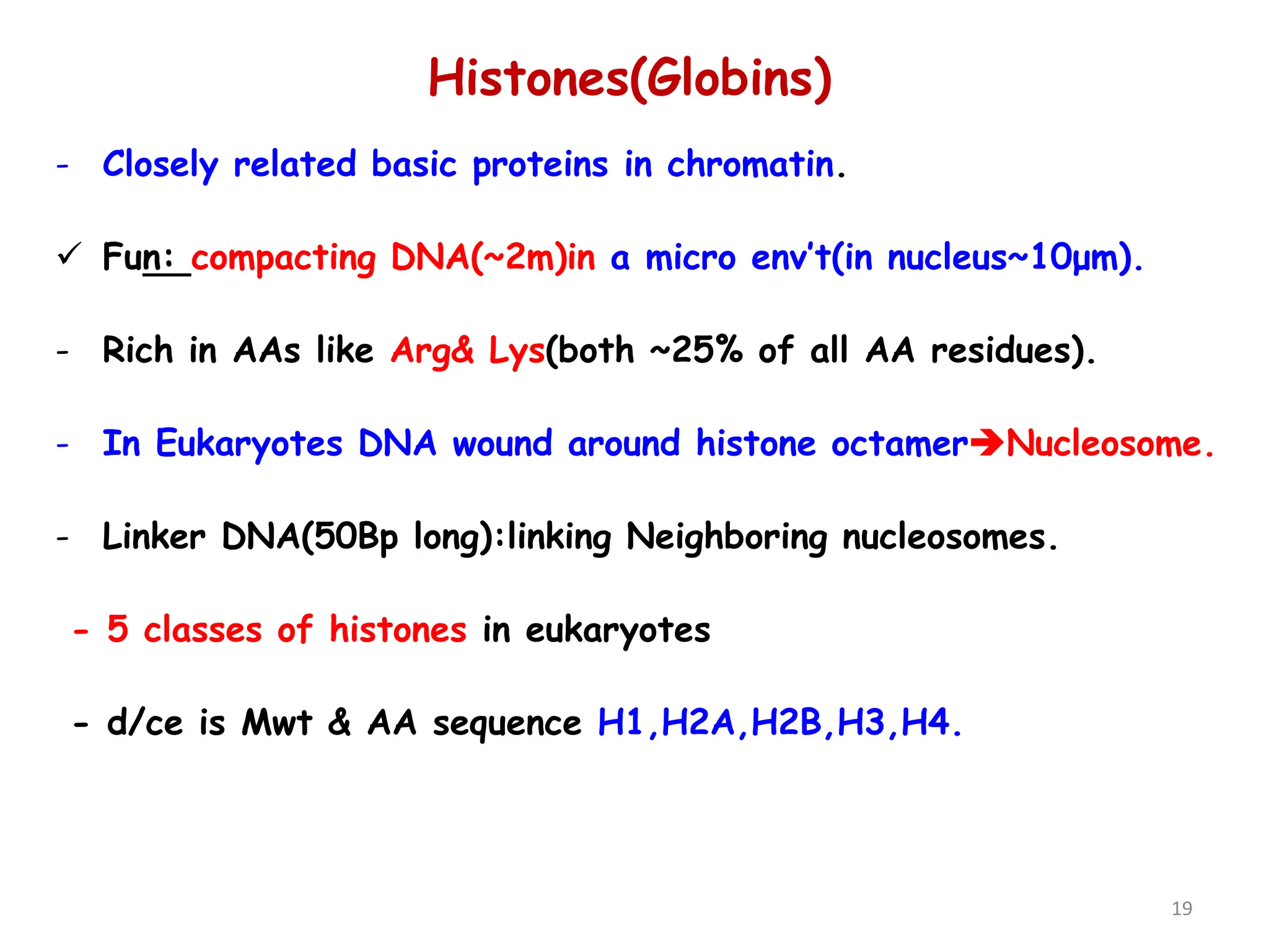2.Chemistry of Nucleic Acids.pptx assignme | PPTX