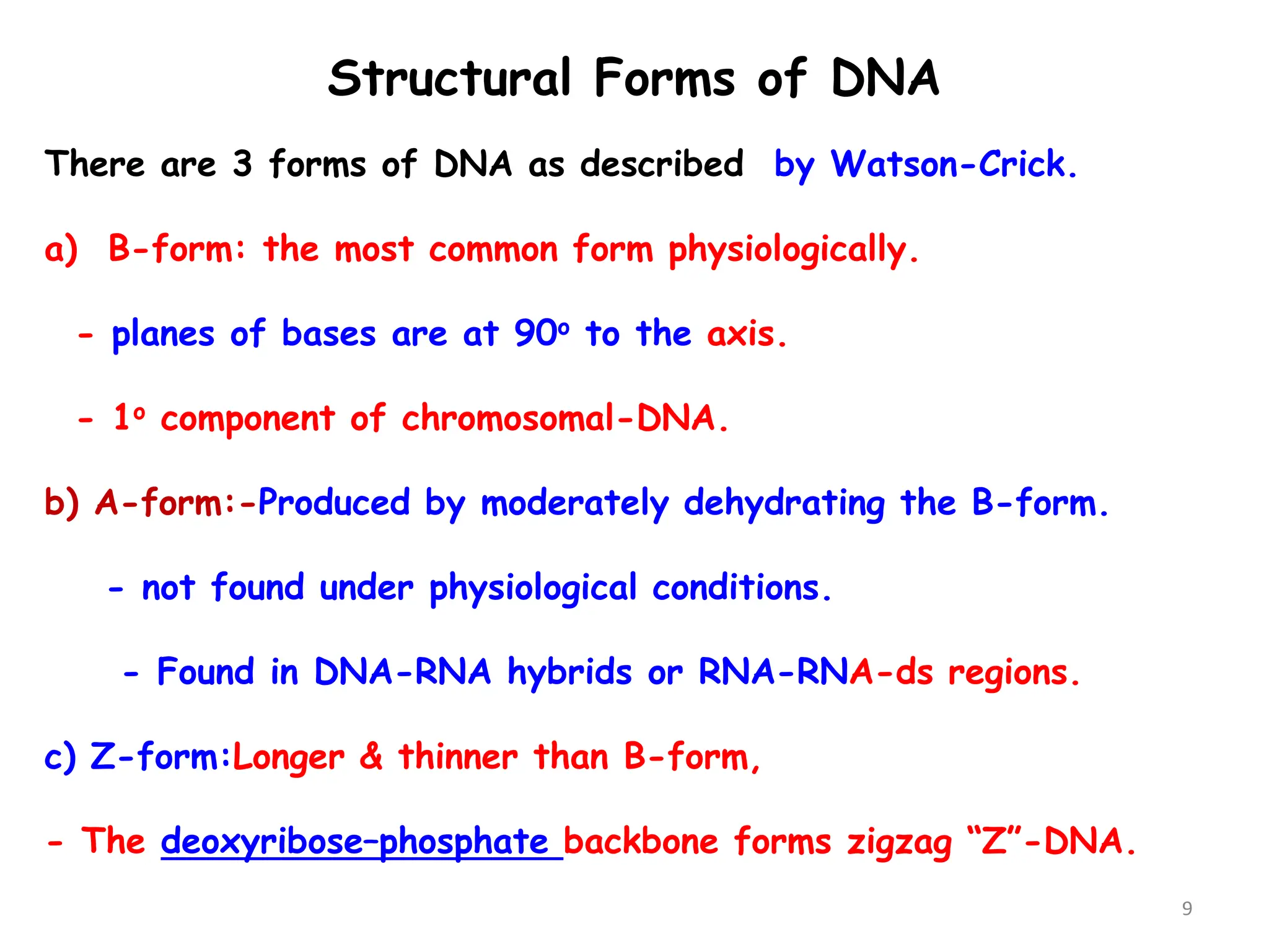 2.Chemistry of Nucleic Acids.pptx assignme | PPTX