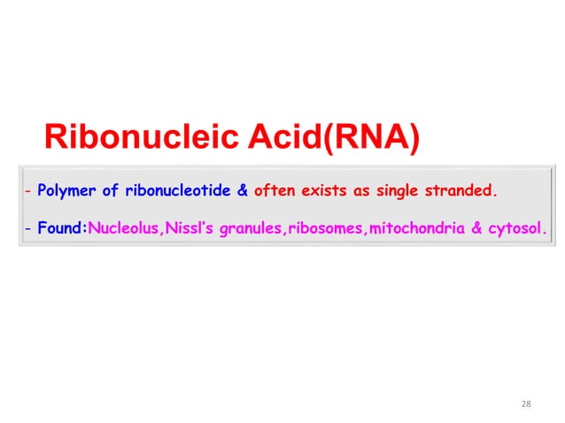 2.Chemistry of Nucleic Acids.pptx assignme | PPT