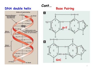 2.Chemistry of Nucleic Acids.pptx assignme | PPT