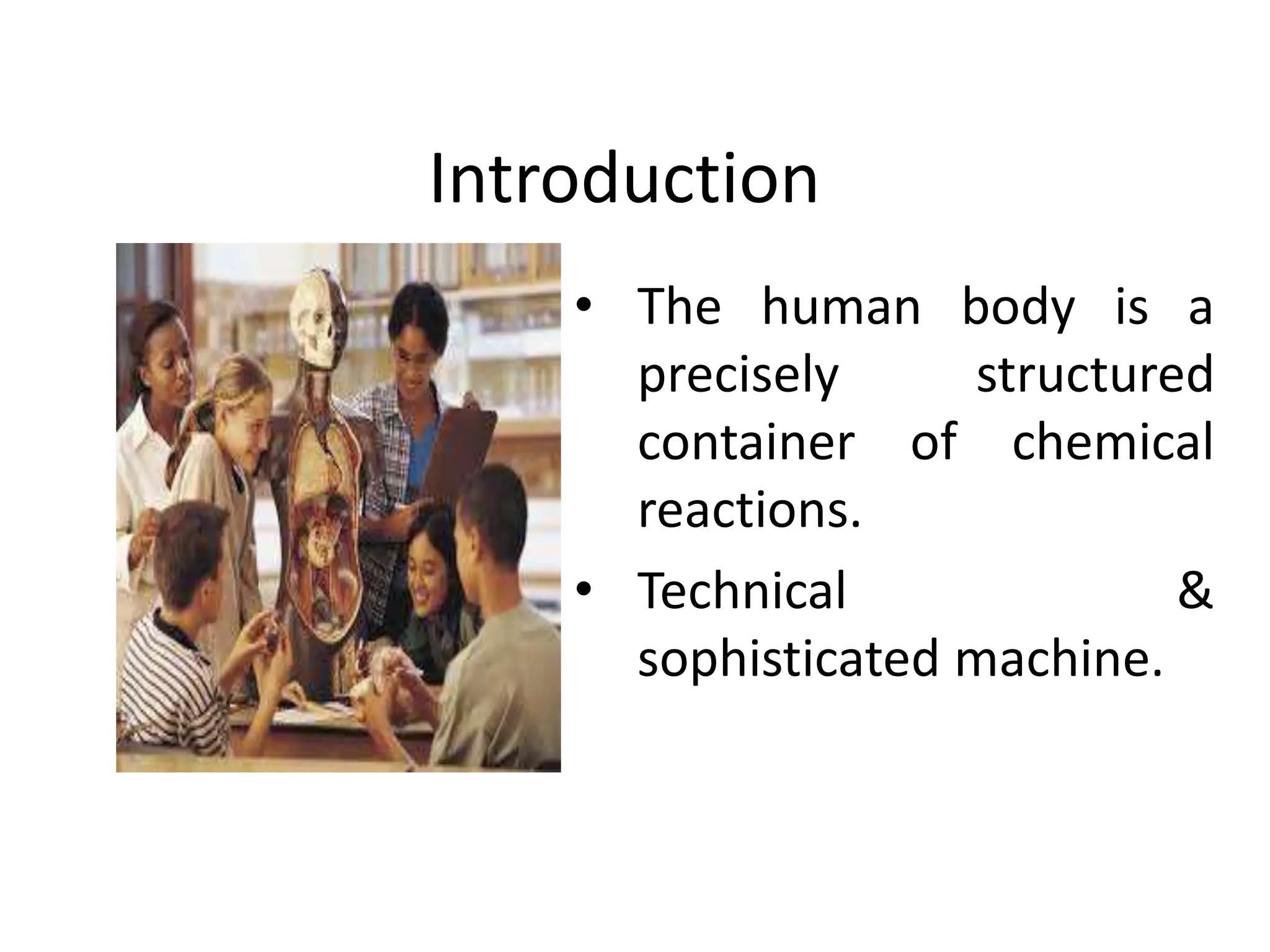 Introduction to human body Explain the gross morphology, structure and ...