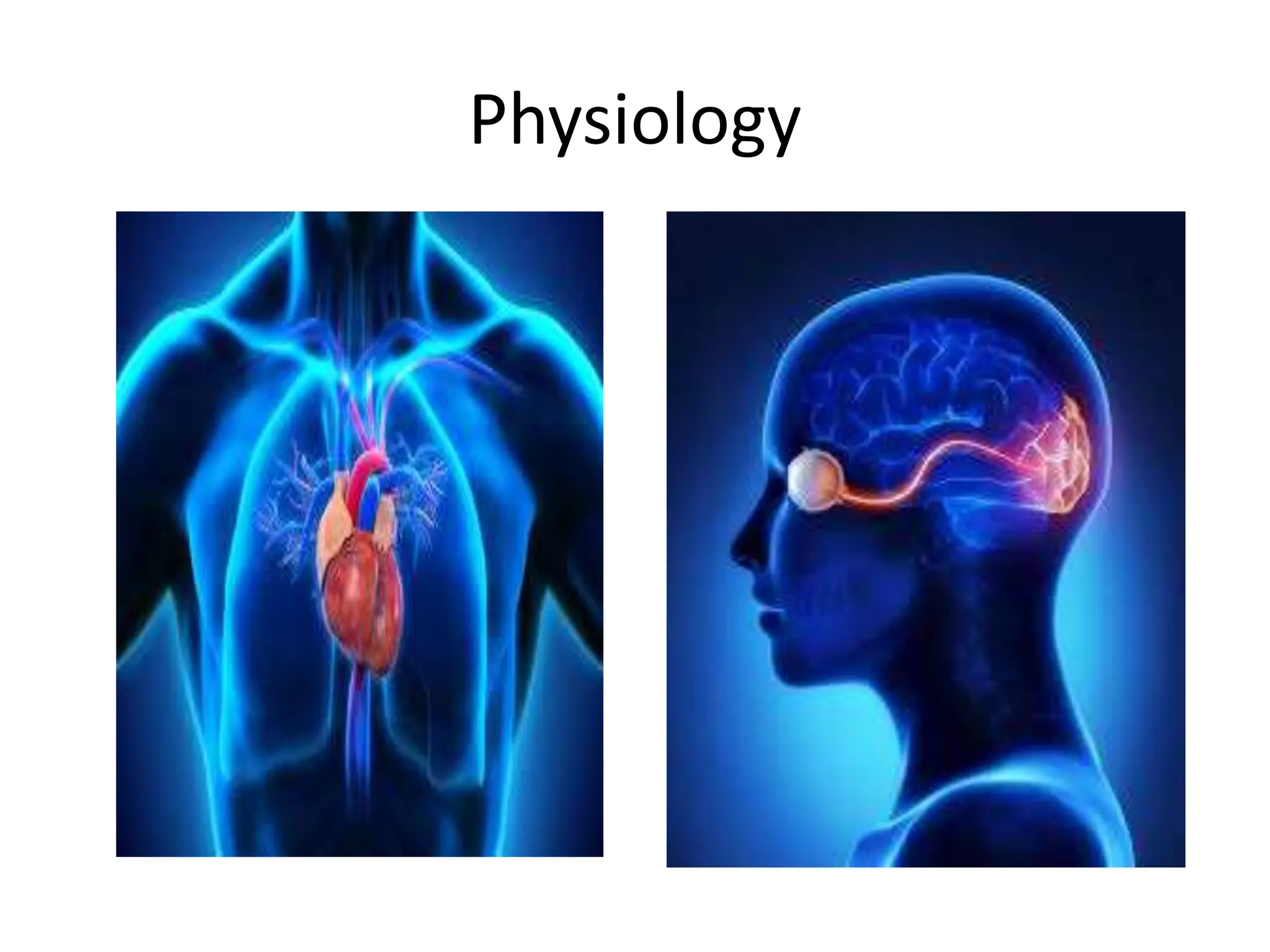 Introduction to human body Explain the gross morphology, structure and ...