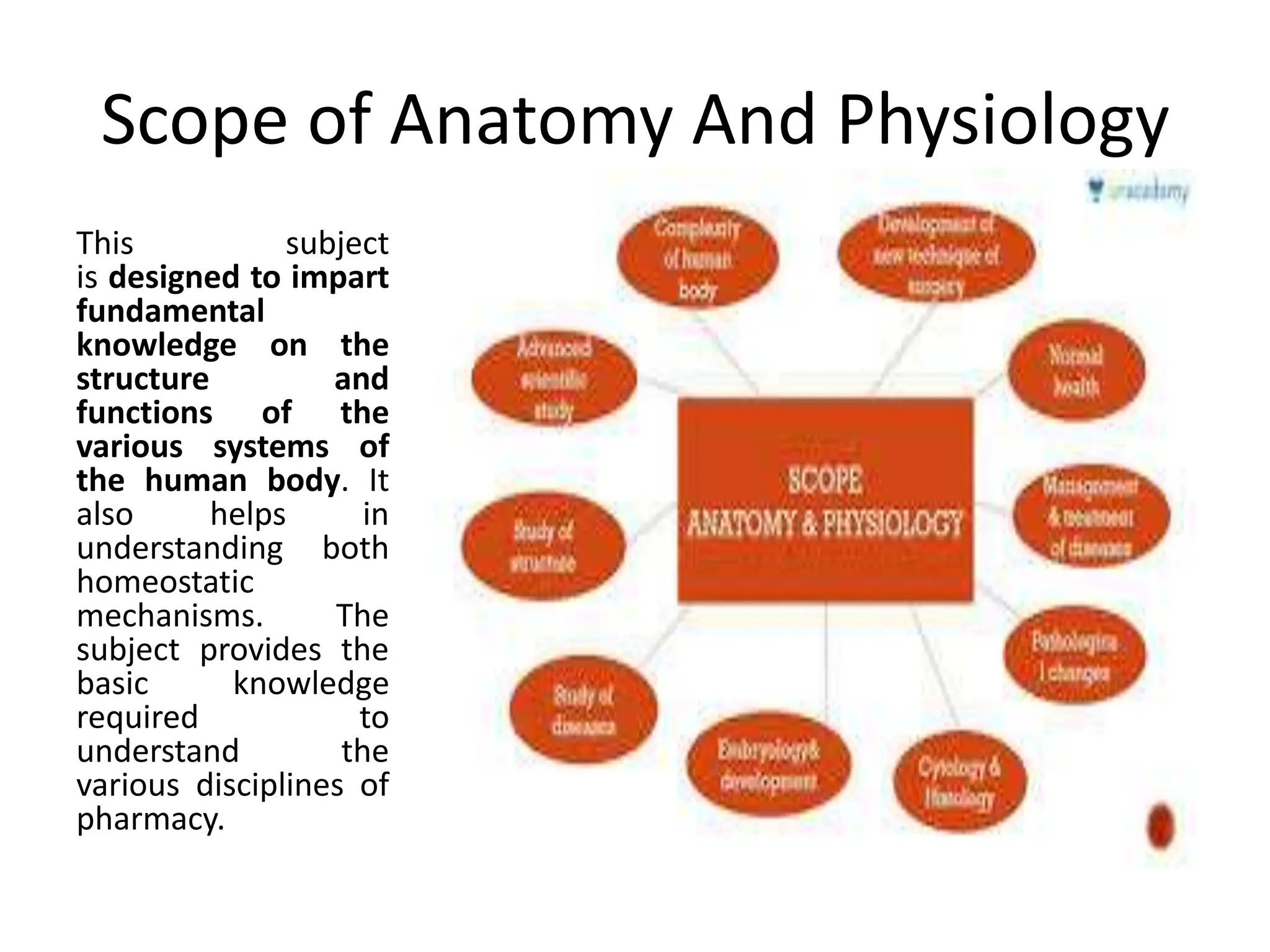 Introduction to human body Explain the gross morphology, structure and ...
