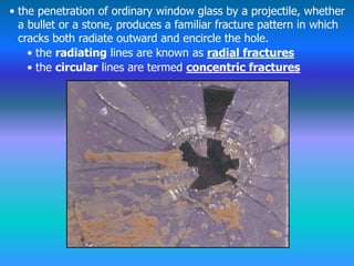 2.2--POWERPOINT--Forensic_Analysis_of_Glass_2.pptx