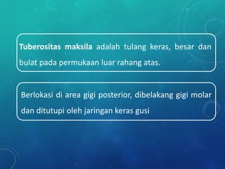 2. Anatomikal landmark kedokteran gigi.pptx
