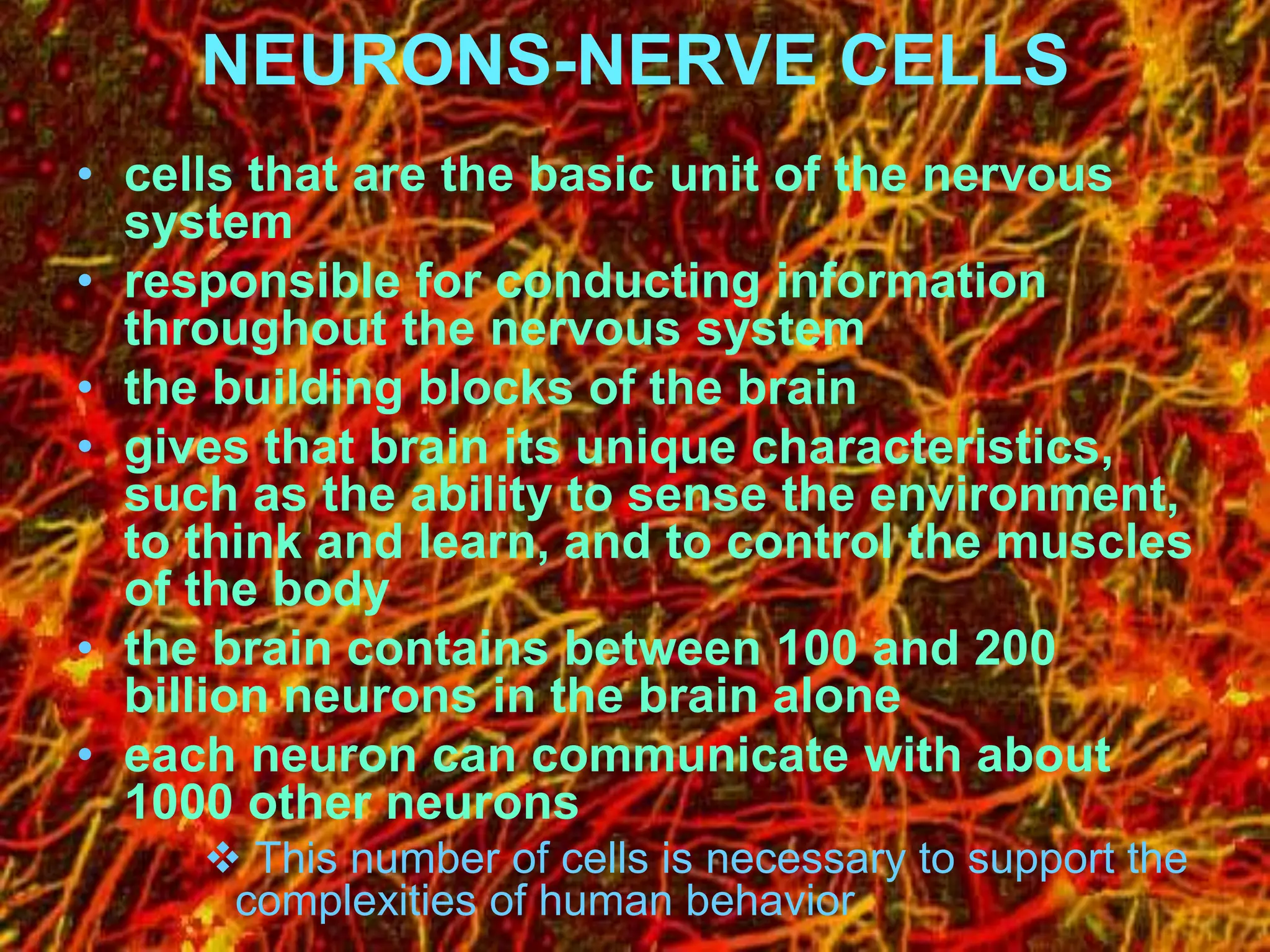 The Neurological foundations of Behavior | PPTX