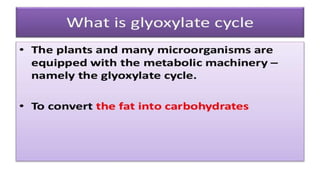 Chemistry and Metabolism of Carbohydrate - Glyoxylate Pathway | PPTX