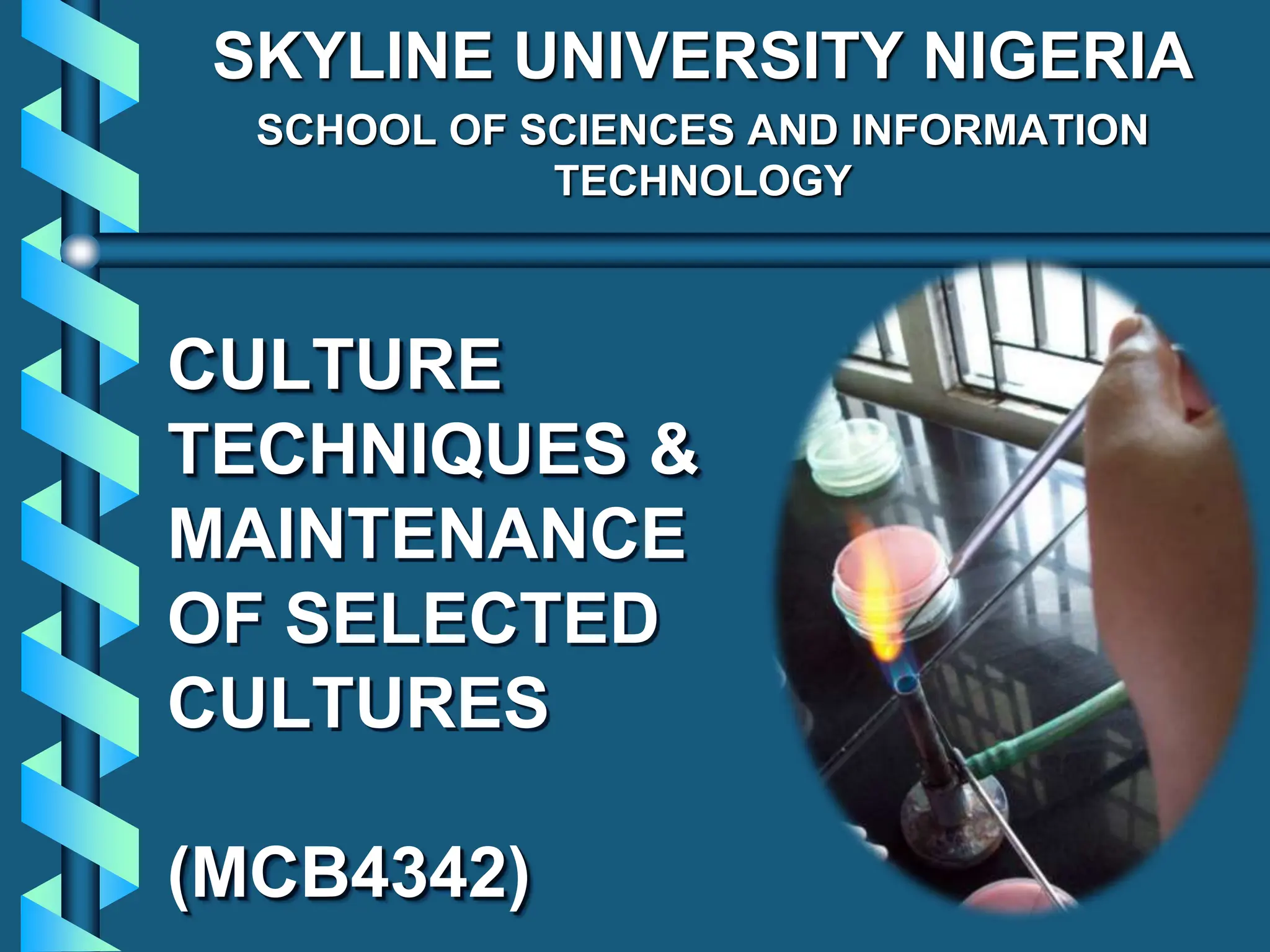 Culture Techniques and Maintenance of selected cultures | PPTX