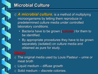 Culture Techniques and Maintenance of selected cultures | PPTX