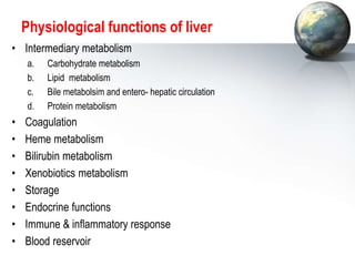 Physiological functions of liver - and liver function test | PPT