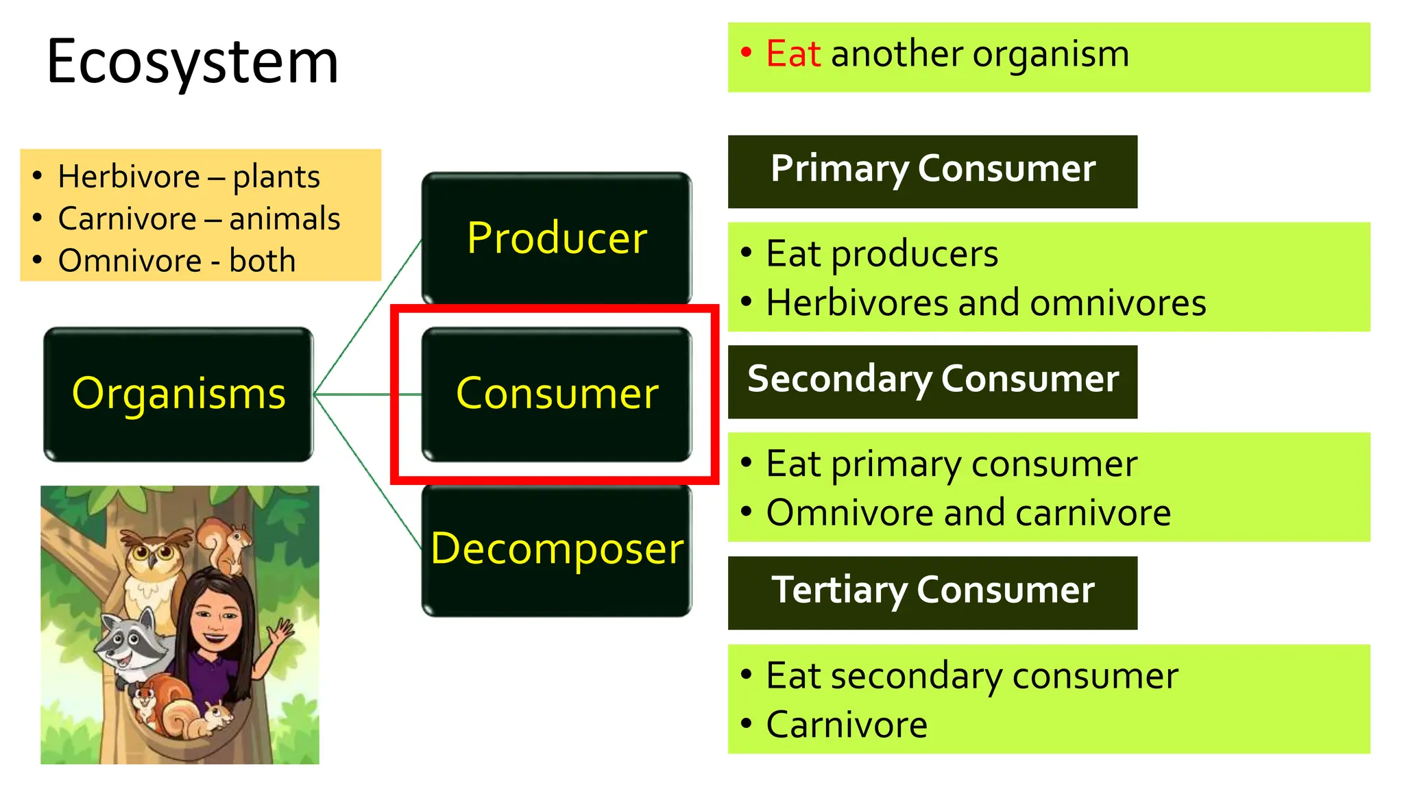 FORM 2 : Energy Flow in an Ecosystem.pptx
