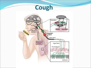 2. Cough.ppt b.pharmacy syllabus point are covered | PPT | Lung and Respiratory Health ...
