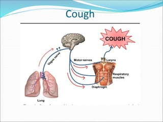 2. Cough.ppt b.pharmacy syllabus point are covered | PPT | Lung and Respiratory Health ...