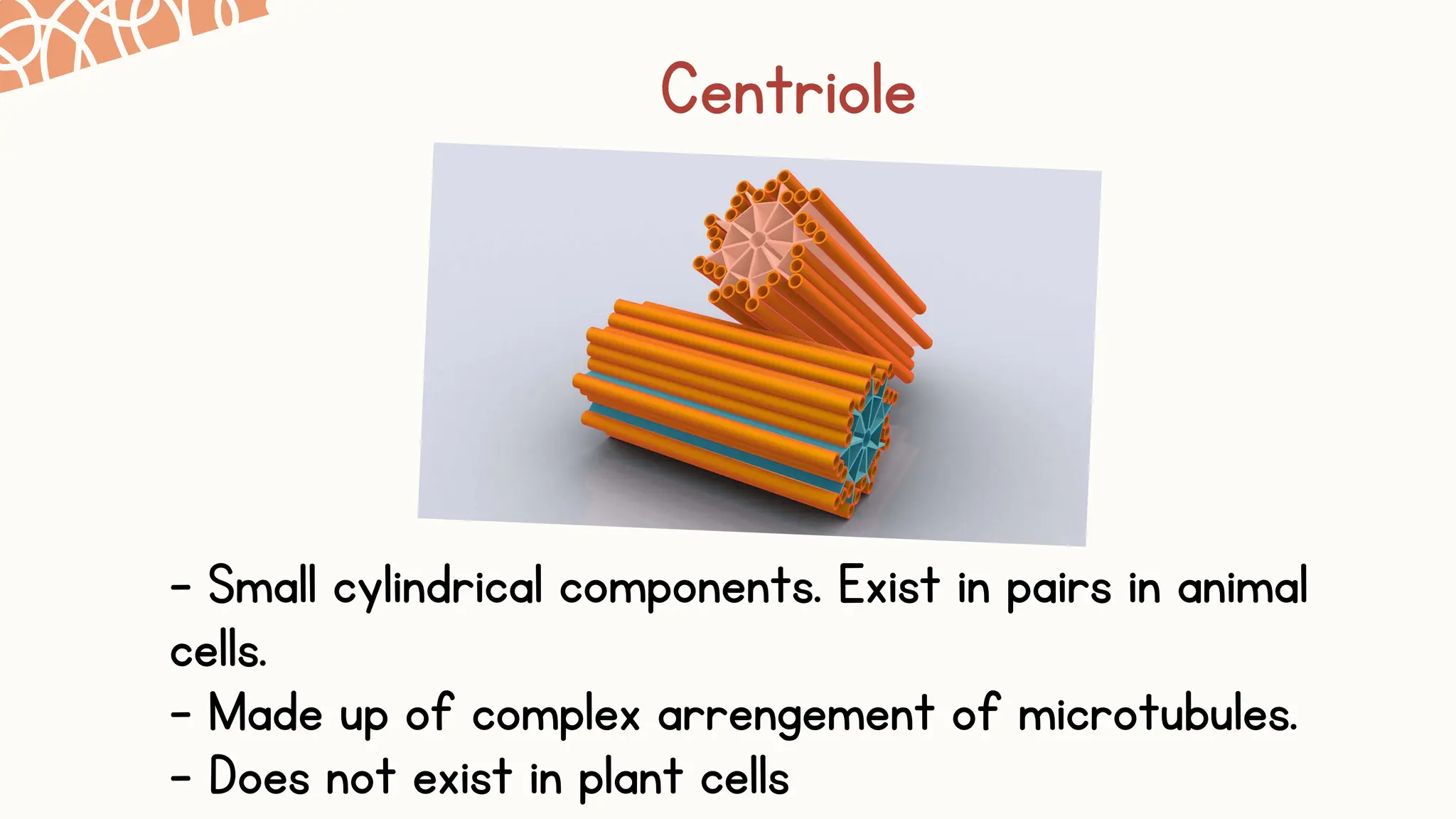 2.1 Cell Structure And Function Biology Form 4 | PDF