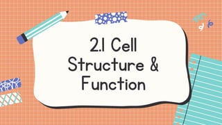 2.1 Cell Structure And Function Biology Form 4 | PDF