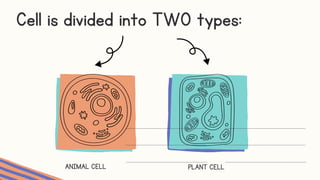 2.1 Cell Structure And Function Biology Form 4 | PDF