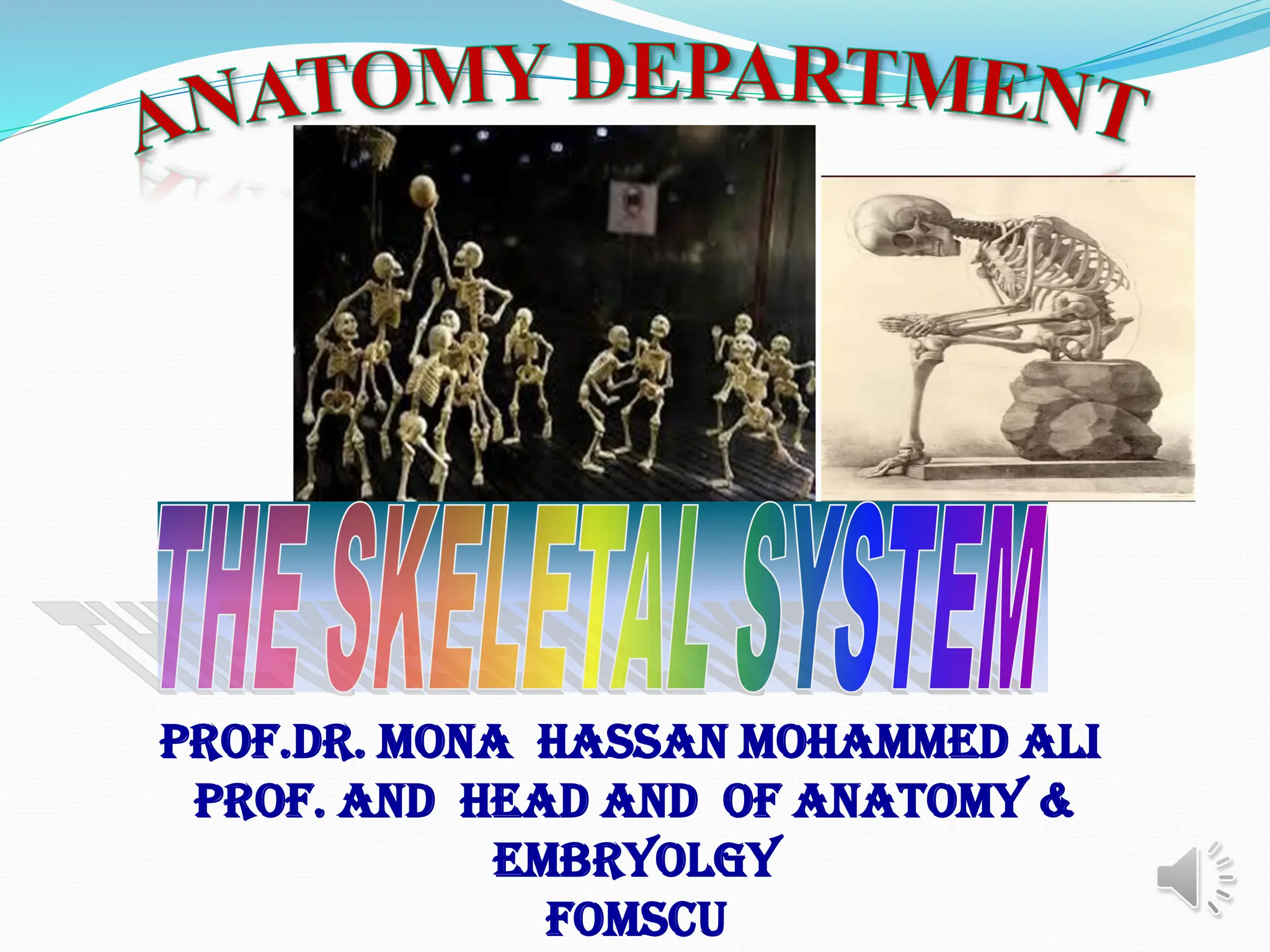 Introduction to Skeletal system oh human | PDF | Death, Injury, or ...