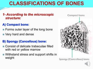 Introduction to Skeletal system oh human | PDF | Death, Injury, or ...
