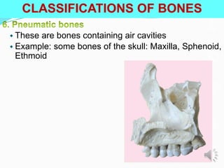 Introduction to Skeletal system oh human | PDF | Death, Injury, or ...